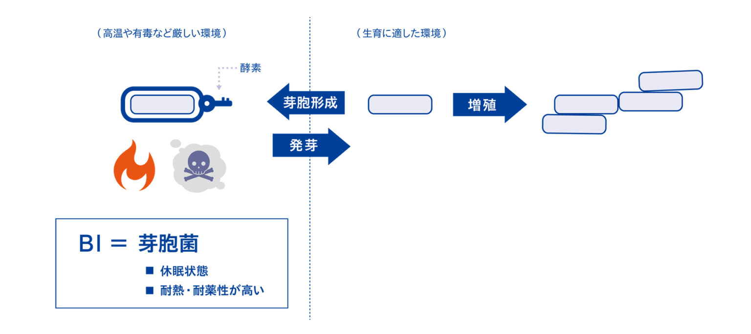 【第1種滅菌技師が解説】BIの判定方法の種類とその違い | 再生処理の知識 | 再生処理の「今」を伝える | SALWAY